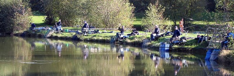 Matches & Private Hire - Frant Lakes