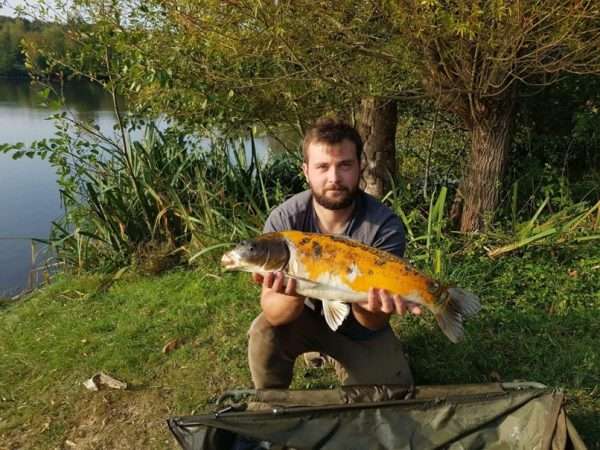 Angler's Gallery - Frant Lakes