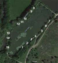 Book Fishing at Frant lakes - Frant Lakes